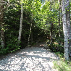 Terrain360 - Beech Mountain Loop 1