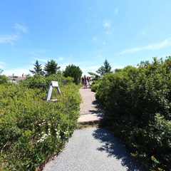 Terrain360 - Cadillac Mountain Summit Loop
