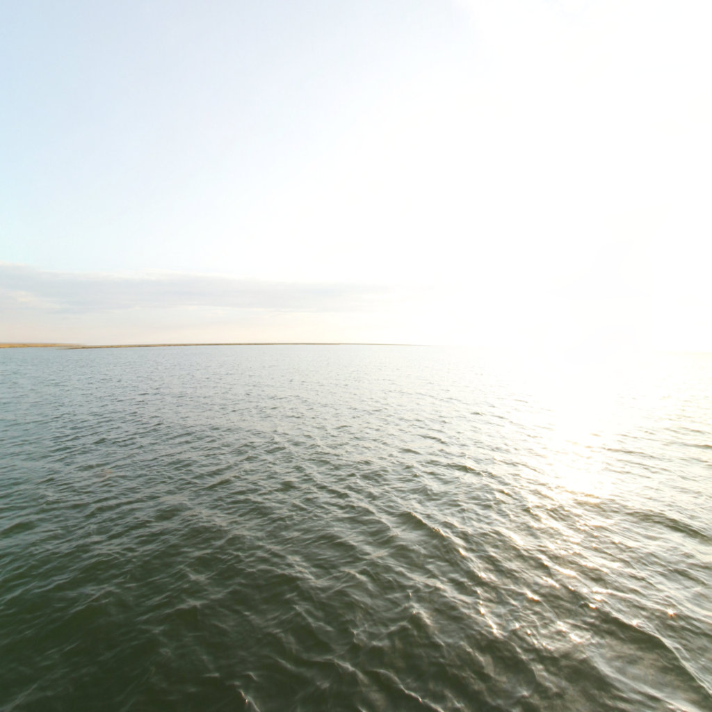 Bloodsworth Island in District 10 Straits, MD | Terrain360