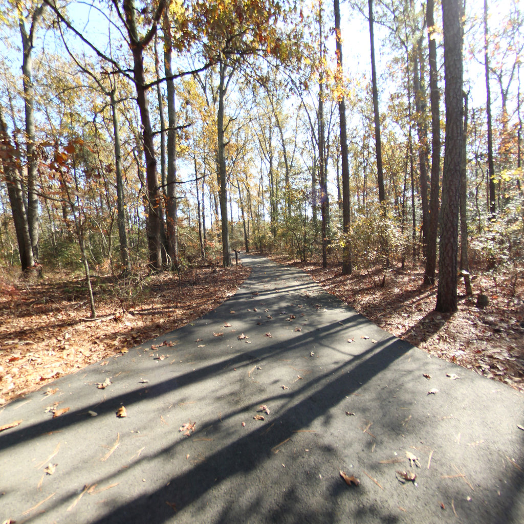 Cold Harbor Side Loop Henrico Section in Mechanicsville, VA | Terrain360