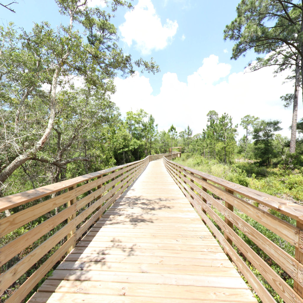 Beach Mouse Bypass in Orange Beach, AL | Terrain360